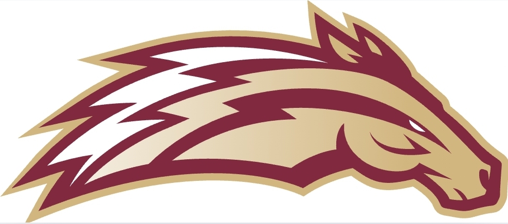 HSSS - Basketball (Boys) - Cheektowaga at Amherst