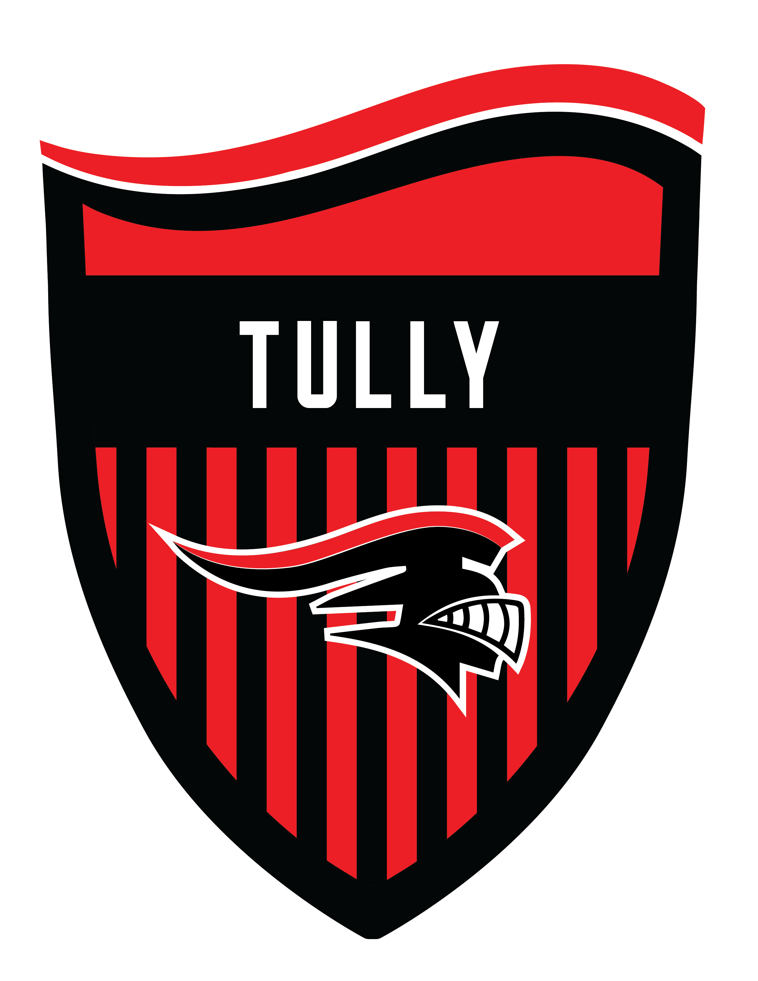 HSSS - Soccer (Girls) - Tully at Manlius-Pebble Hill